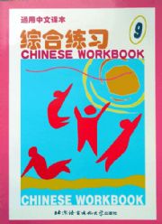 Chinese Workbook 9