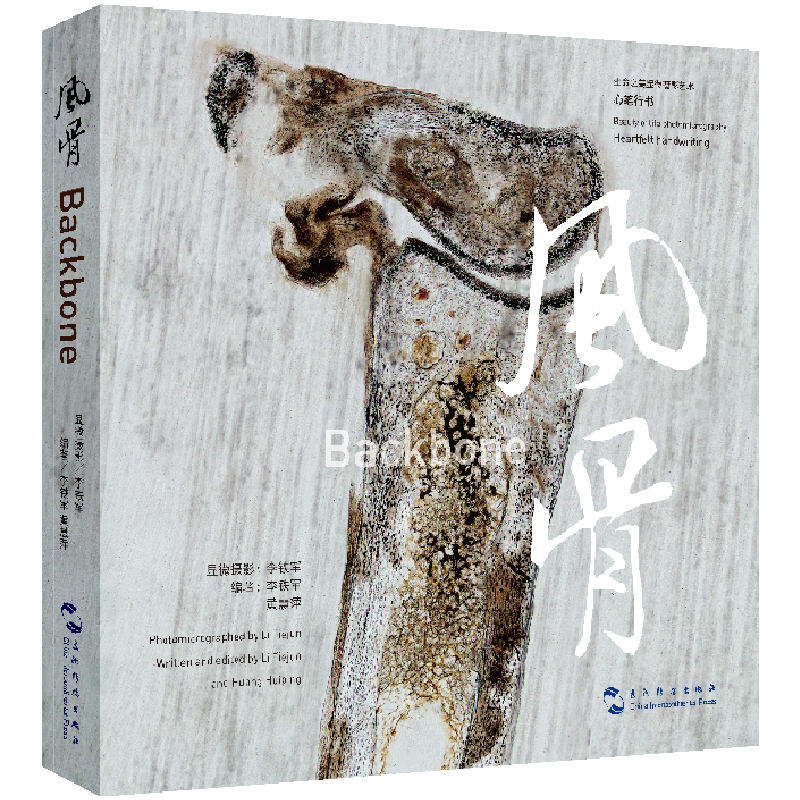 Backboneby Li Tiejun;Huang Huiping; ISBN: 9787508551210